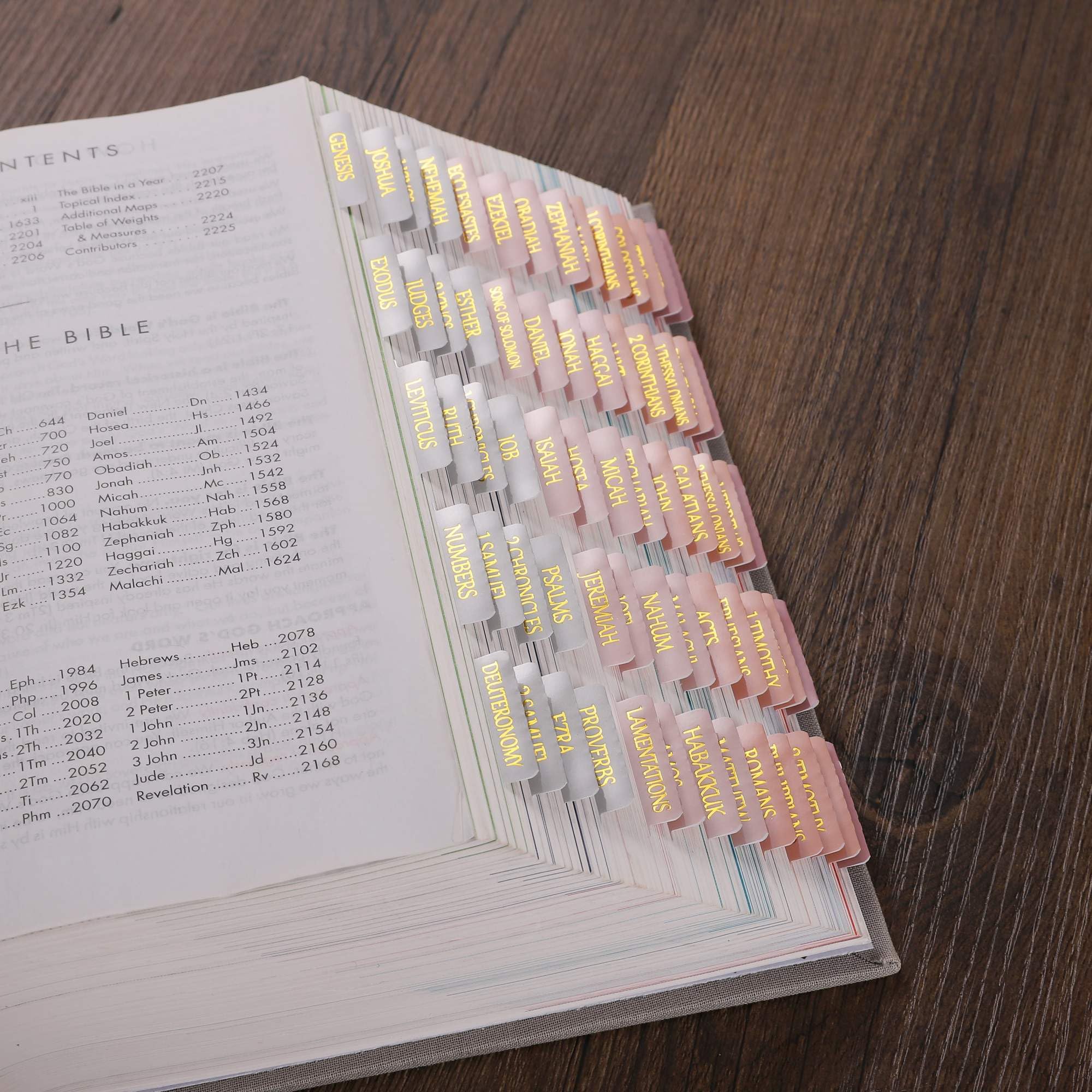 Snapklik.com : Thinkor Reposition Gold Foil Laminated Bible Tabs, Large ...