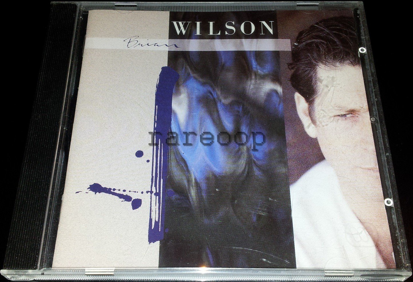 Amazon.com: Brian Wilson: 0075992566926: Brian Wilson: Books