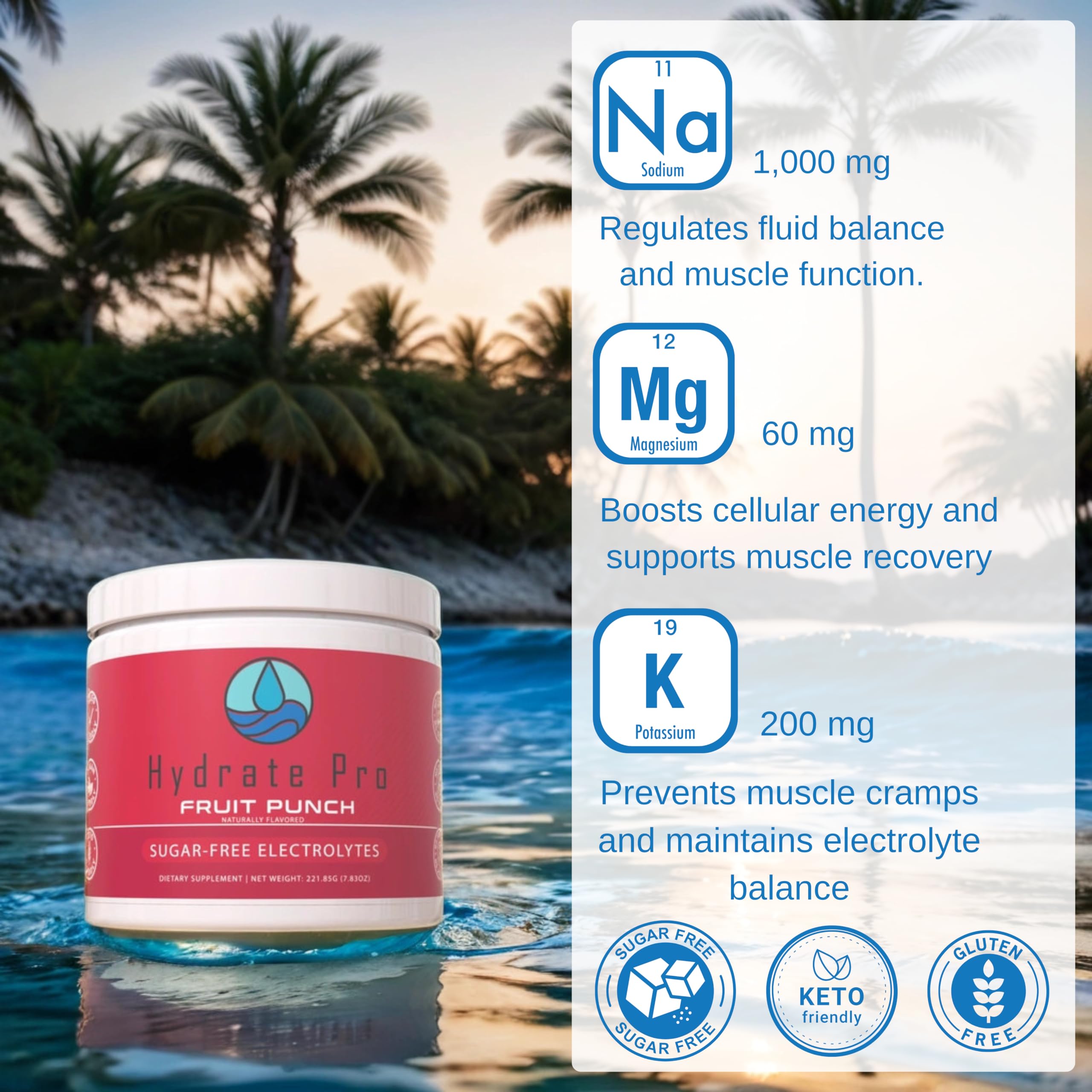 Snapklik.com : Hydrate Pro Sugar-Free Electrolyte Hydration Powder For ...