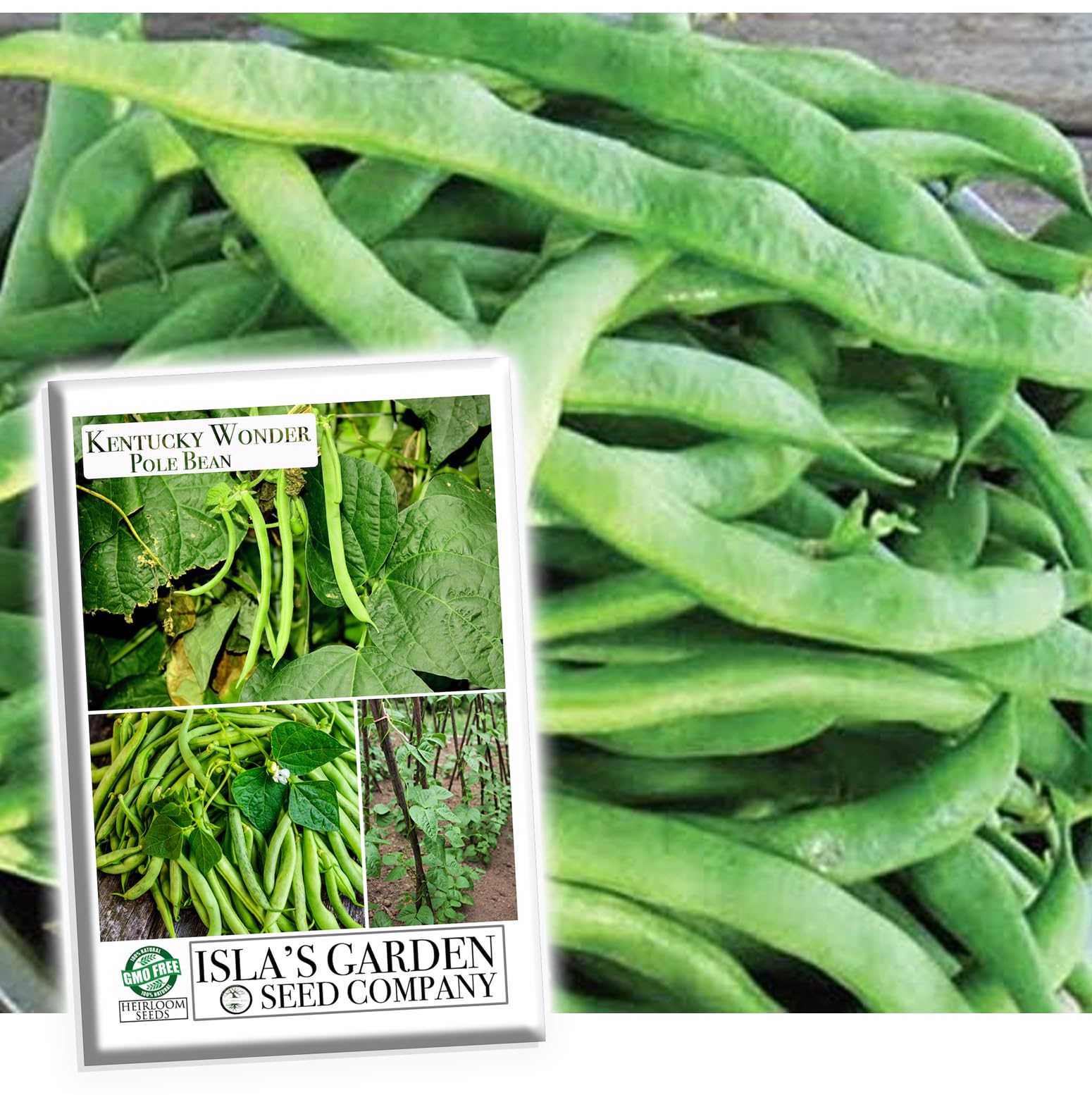 Amazon.com : Kentucky Wonder Pole Bean Seeds for Planting, 30 Heirloom ...