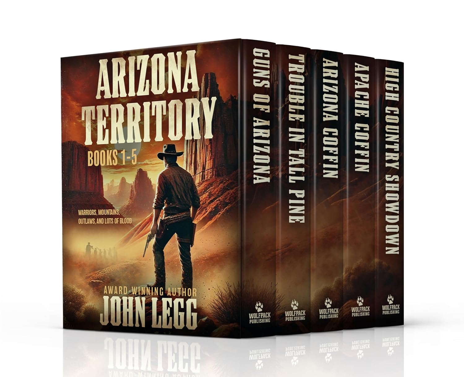 The Arizona Territory Series: Books 1-5 (A Western Collection) eBook ...