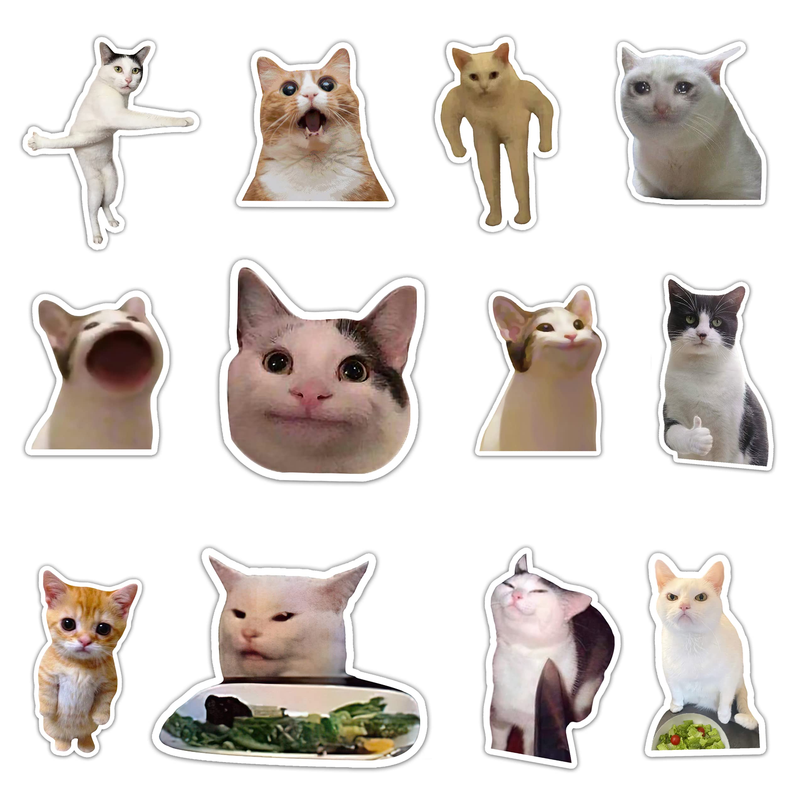 420 Accessories GTOTd Funny Cat Meme Dot Stickers Roll(1000 Pcs) Cute ...