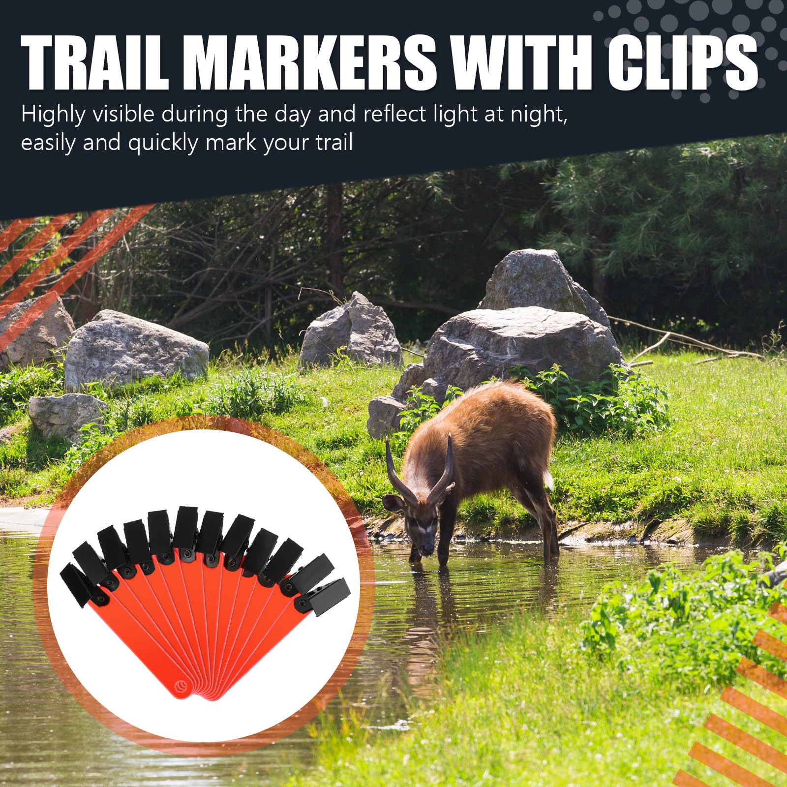 Nature Trail Markers