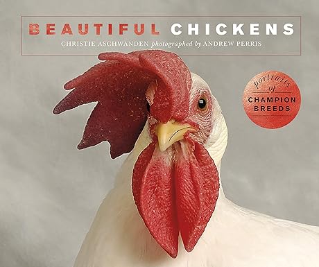 Beautiful Chickens: Portraits of champion breeds (Beautiful Animals ...