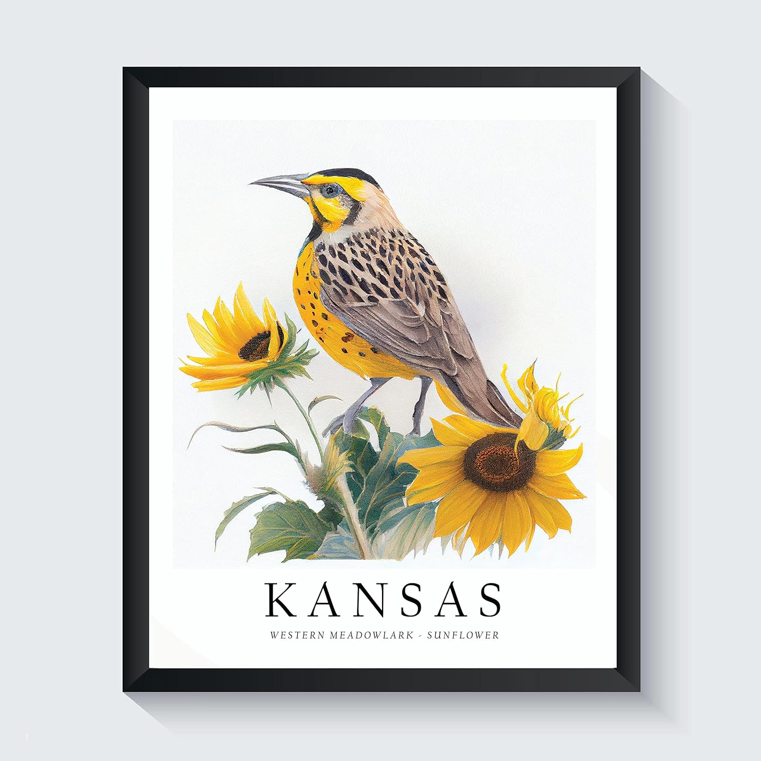 Amazon.com: Kansas Art Print, Kansas Poster Wall art Decor, Kansas ...