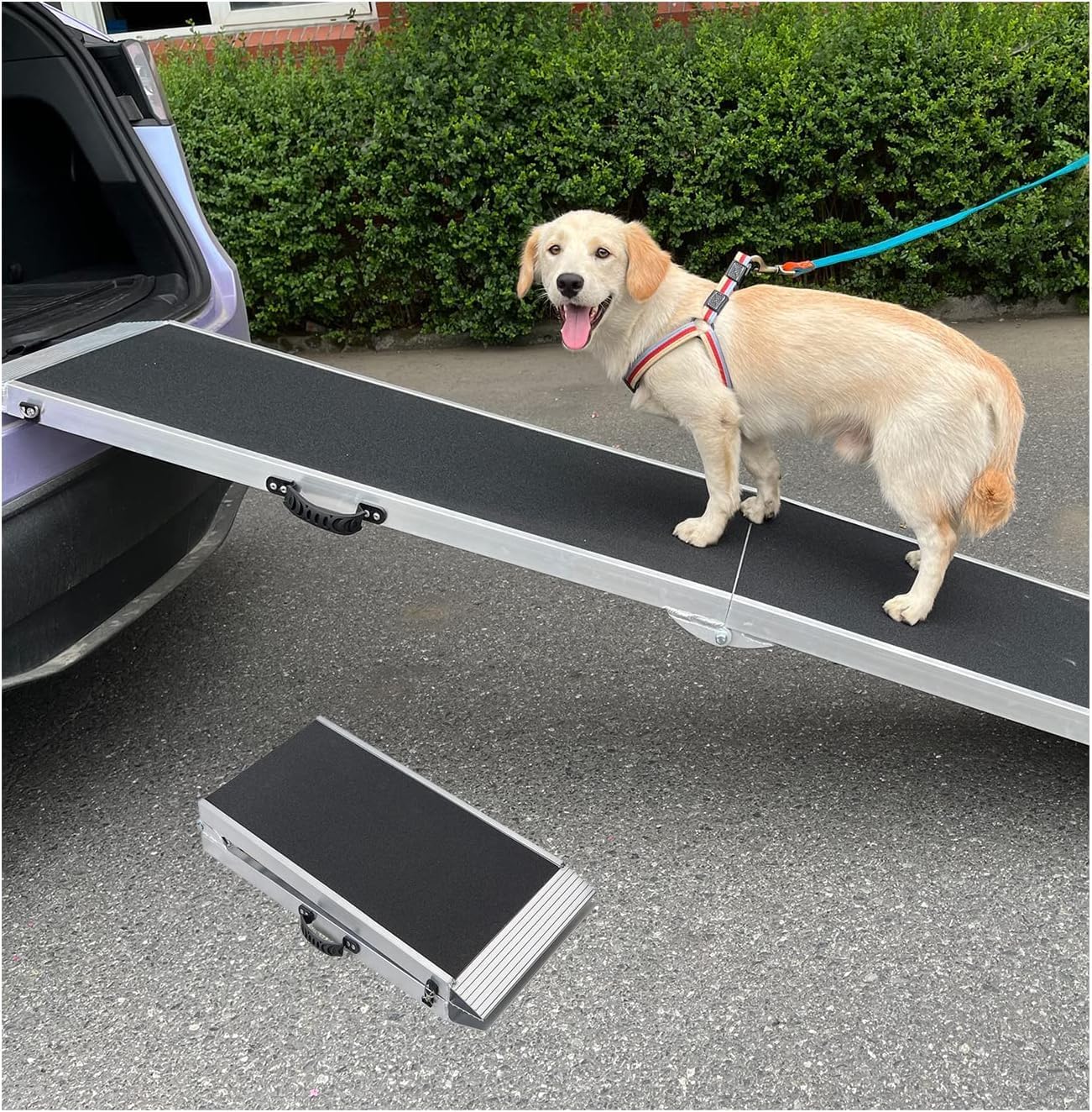 PetSafe Happy Ride Compact Telescoping Dog Ramp - Portable Lightweight ...