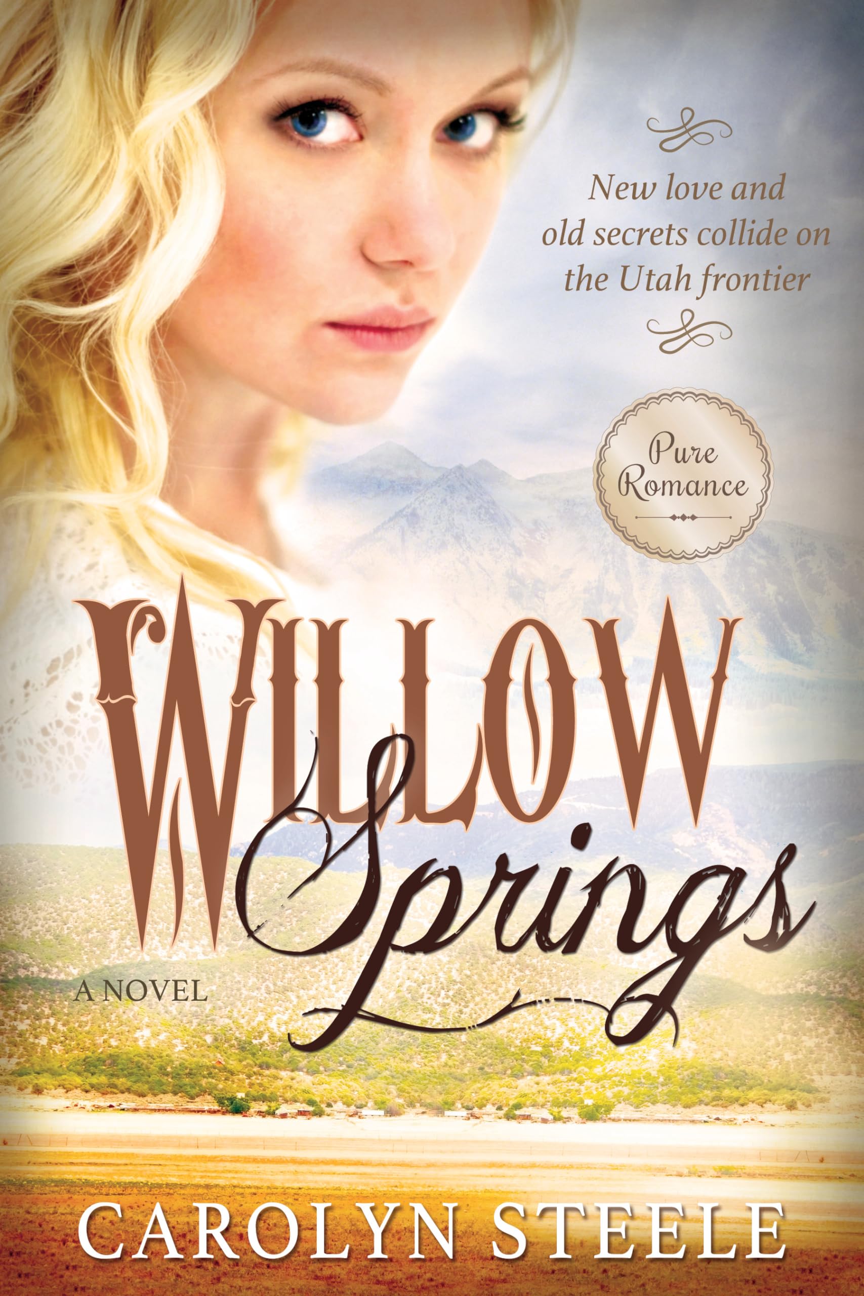 Willow Springs: Carolyn Steele: 9781462114573: Amazon.com: Books