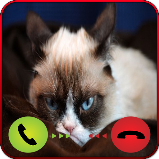 Call From Grumpy Cat - App on Amazon Appstore
