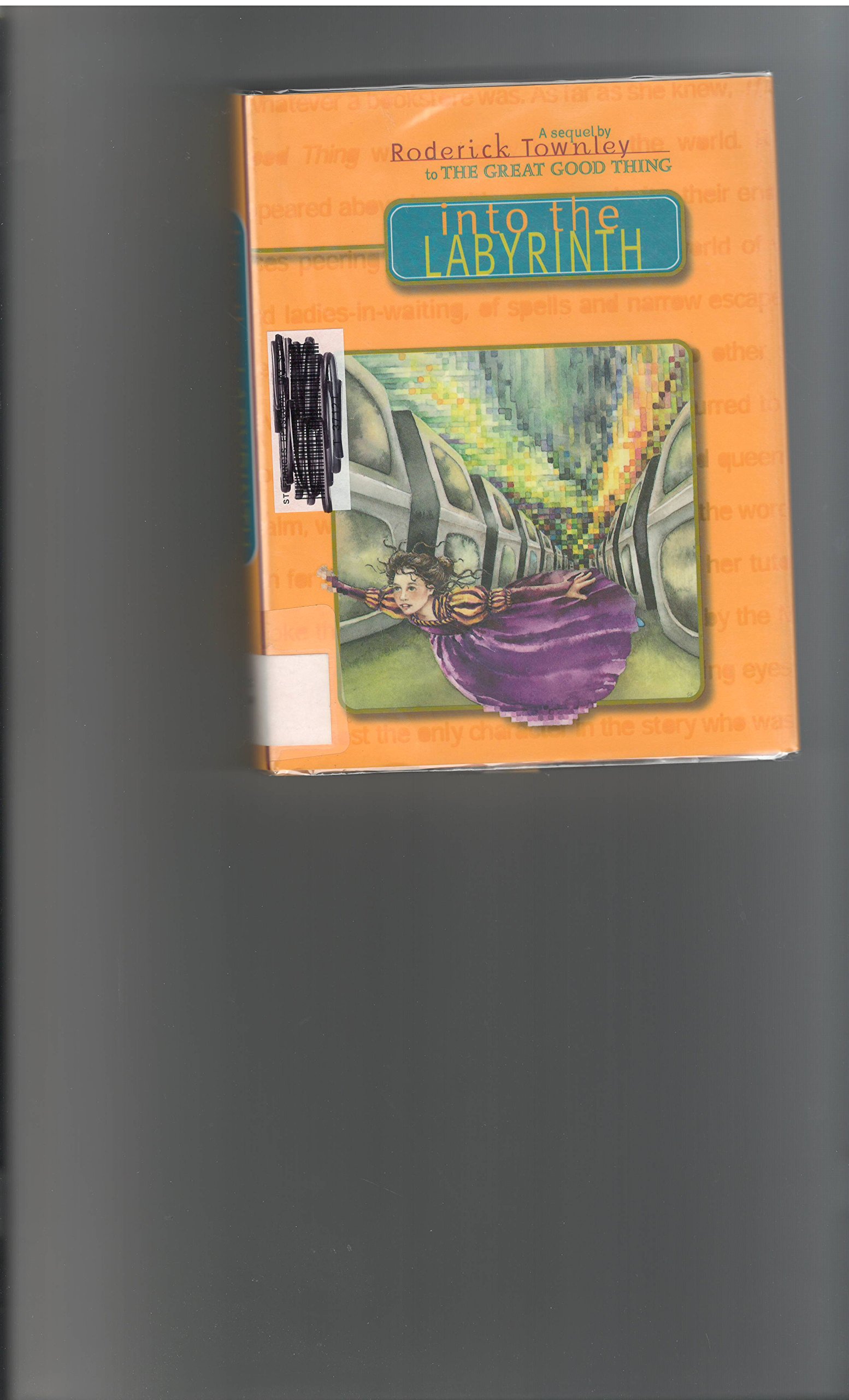 Amazon.com: Into the Labyrinth: 9780689846151: Townley, Roderick: Books