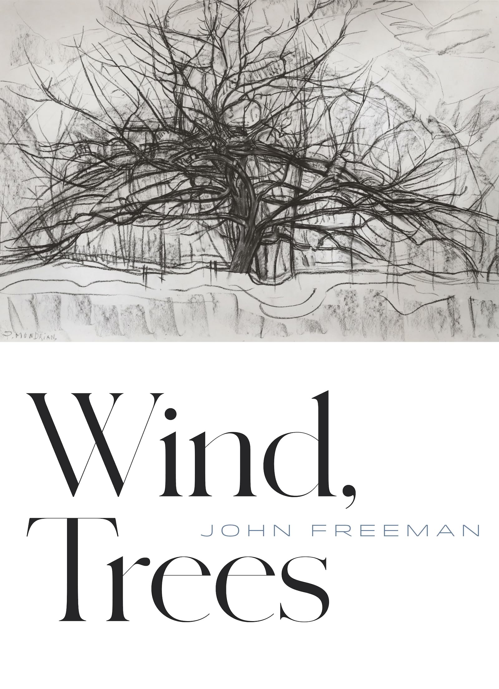 Wind, Trees: Freeman, John: 9781556596483: Amazon.com: Books
