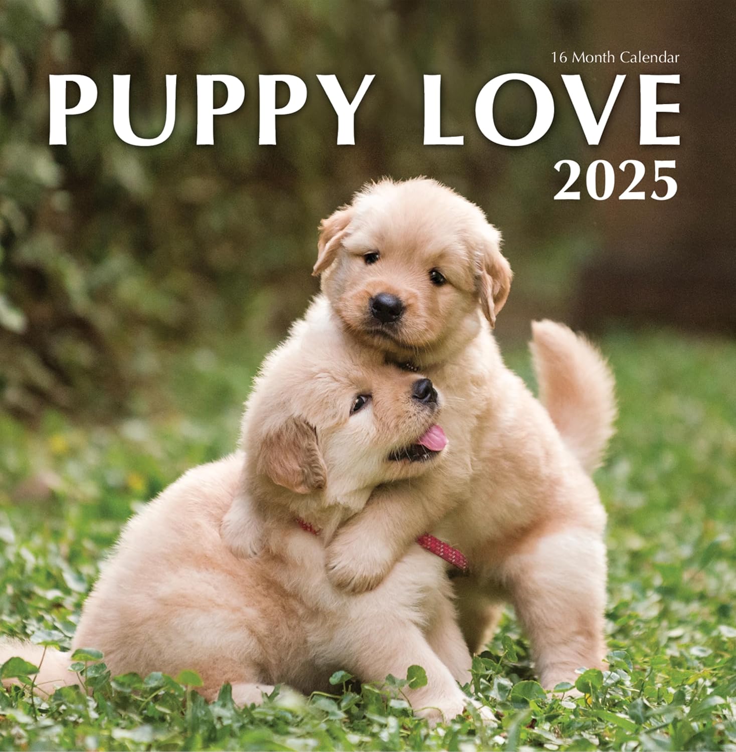 2025 Puppy Love Hangable Wall Calendar - 12" Full Page Months Dog Cute ...