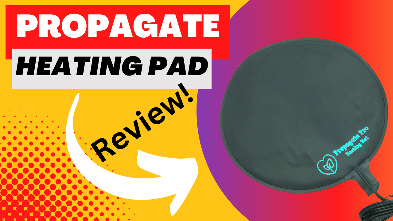 Watch Brewing heat pad& Perfect for fermenting. Review on Amazon Live