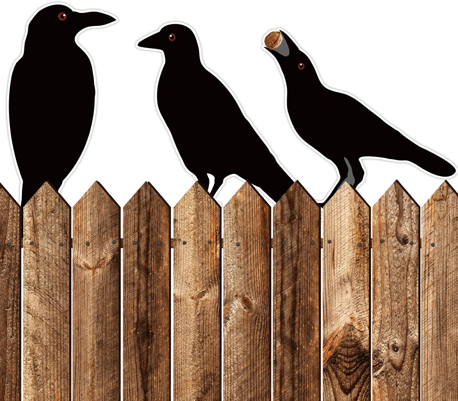 Amazon.com : Halloween Fence Decorations, Outdoor Scary Black Crows ...