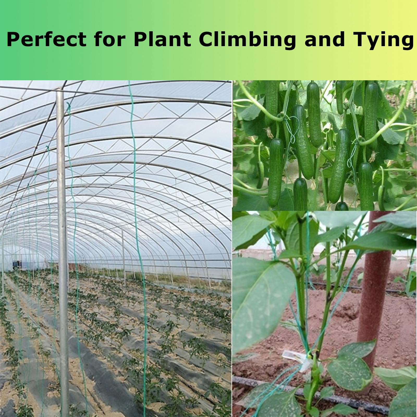 Green Nylon ARISKEY 984 Feet Twisted Mason Line #36 Nylon Brick Line ...