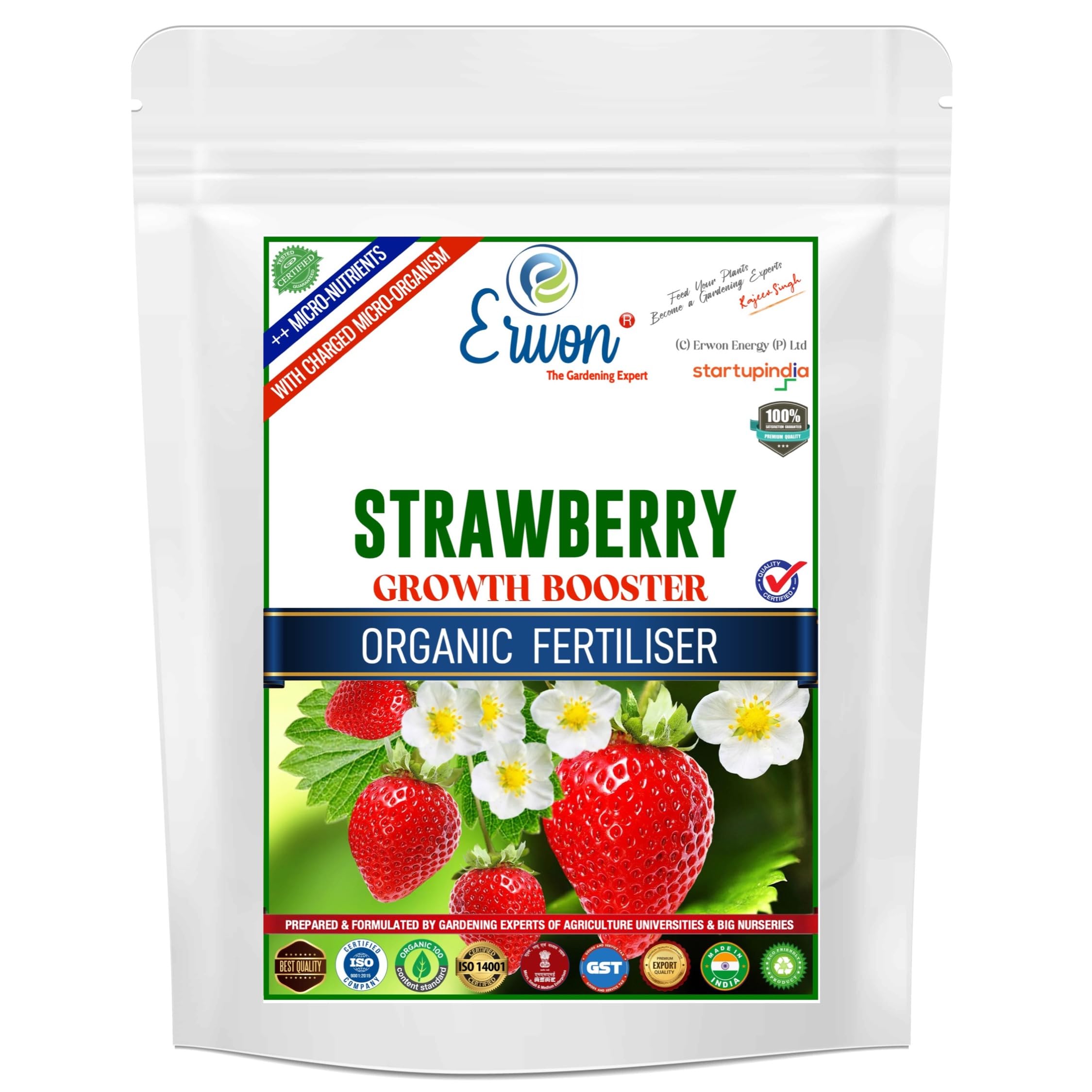 Organic Strawberry Plugs Strawberry Growth Stages: How Fast Do