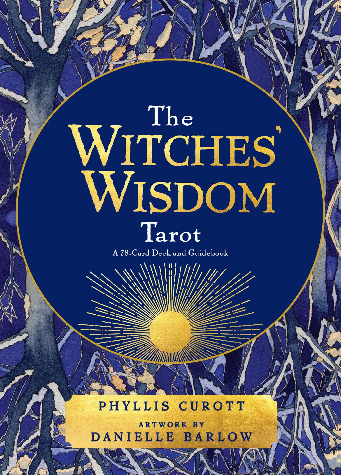 The Witches' Wisdom Tarot (Standard Edition): A 78-Card Deck and ...