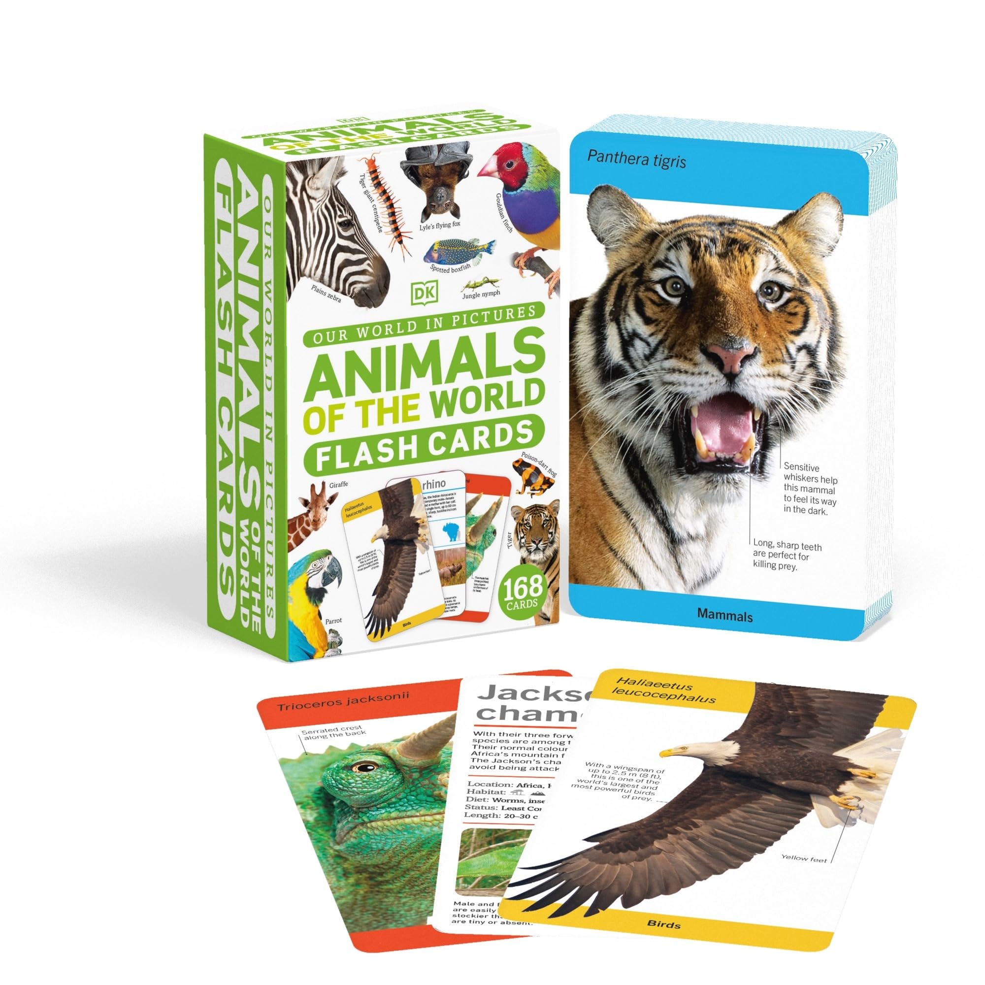 Our World in Pictures Animals of the World Flash Cards: DK ...