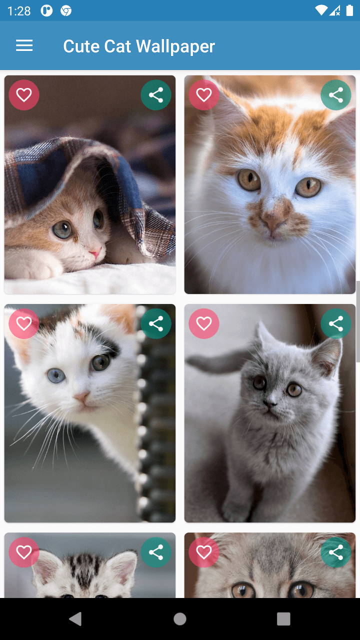 Cute Cat Wallpaper Pro - App on Amazon Appstore