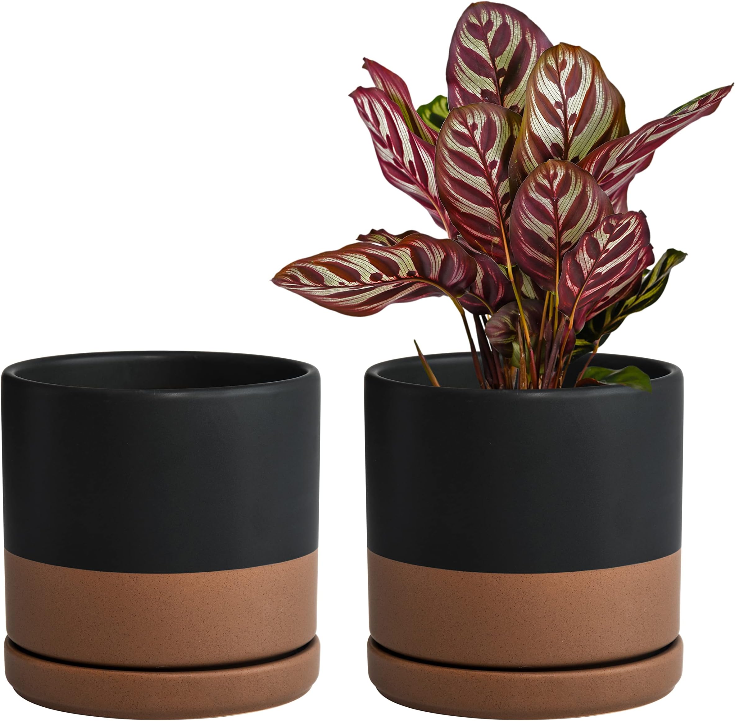 Amazon.com: Set of 2 Plant Pots, 4 Inch & 6 Inch, Ceramic Planter Pots ...