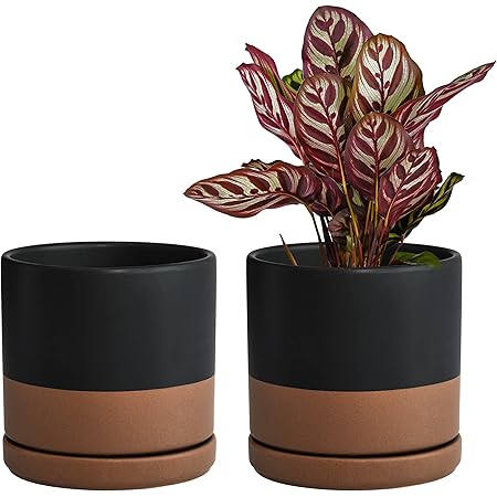 Amazon.com : Set of 2 Plants Pot, 6 Inch Ceramic Planter Pot for Plants ...