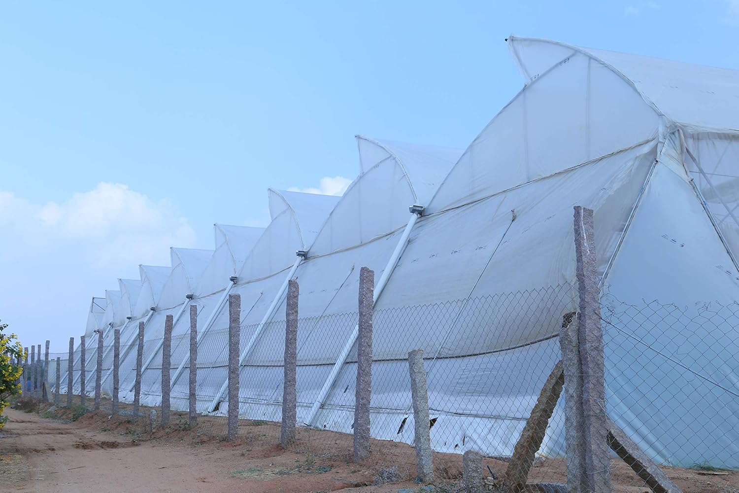 IDEAL Anti‐Insect Net Fabrics 40 Mesh (4.2 Mtrs) : Amazon.in: Garden ...