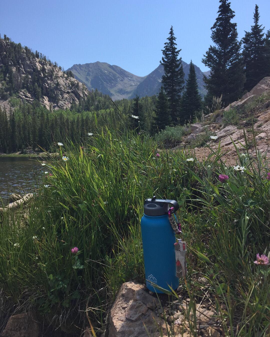 Amazon.com: Tru Flask Stainless Steel Water Bottle – Double Walled and ...