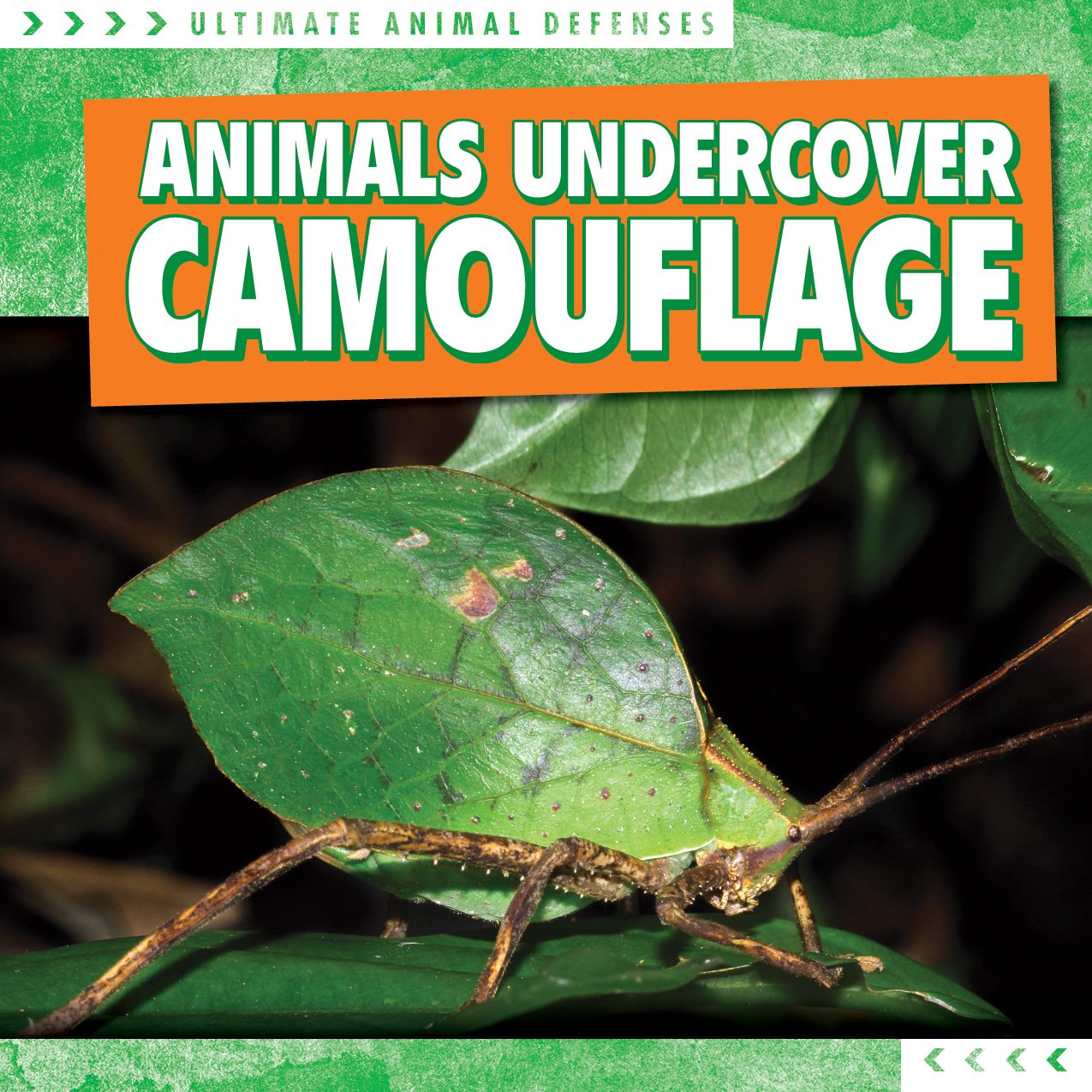 Animals Undercover: Camouflage (Ultimate Animal Defenses): Fortescue ...