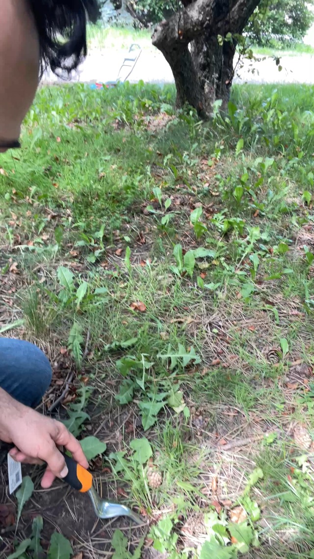 Watch "Customer's Review" Fiskars Ergo Scratch Tool Garden Weeder on ...