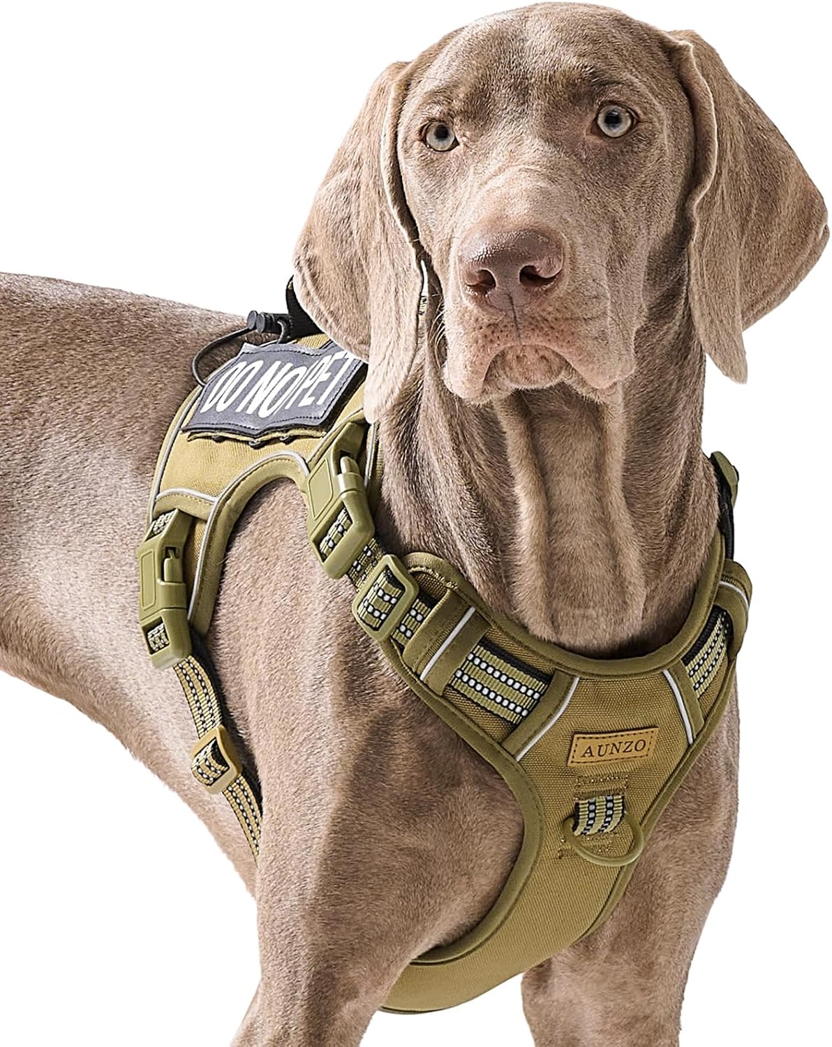 Amazon.com : AUNZO Dog Harness with Handle Tactical Dog Harness for ...