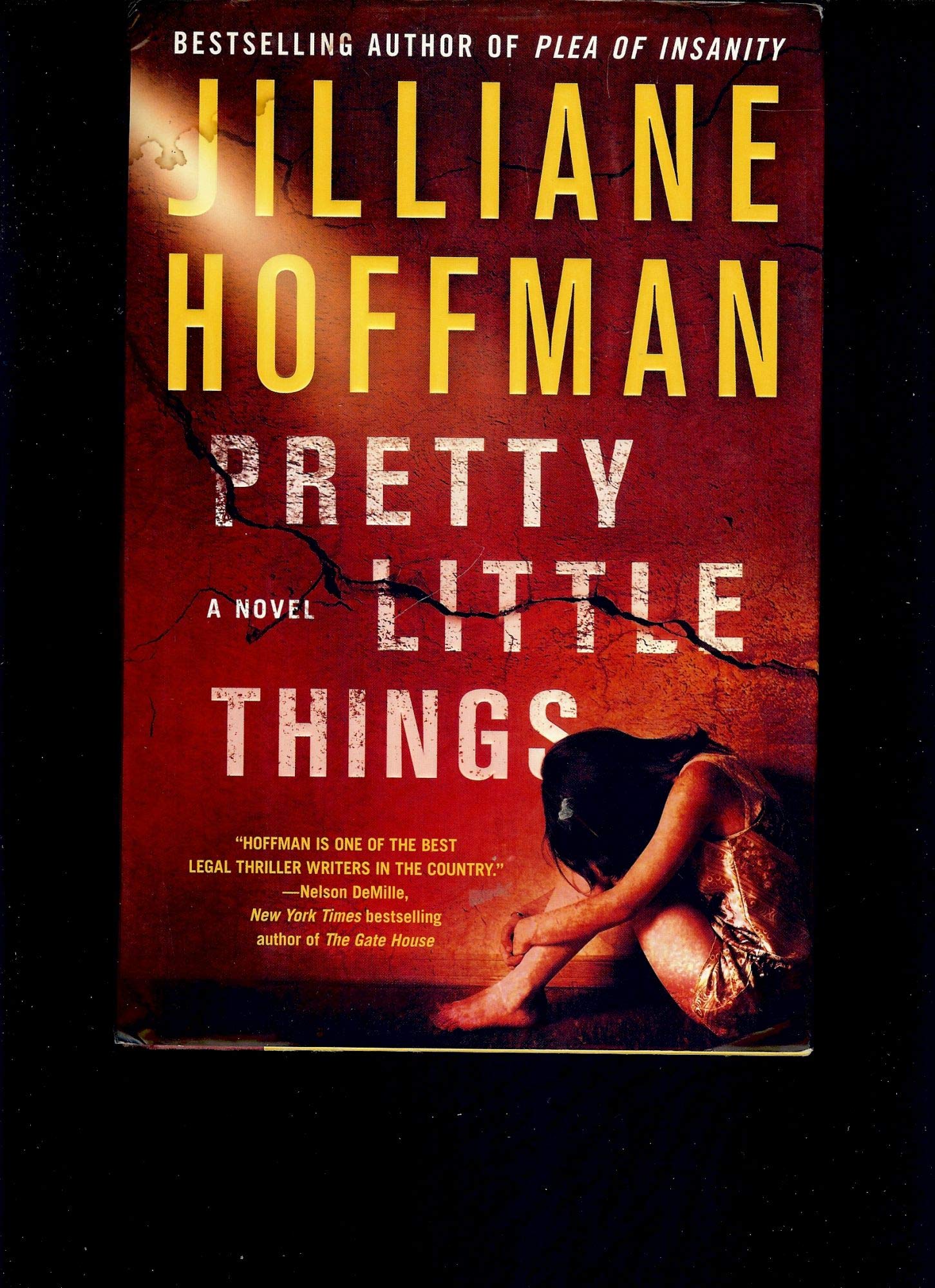 Pretty Little Things: Amazon.co.uk: Hoffman, Jilliane: 9780007311583: Books