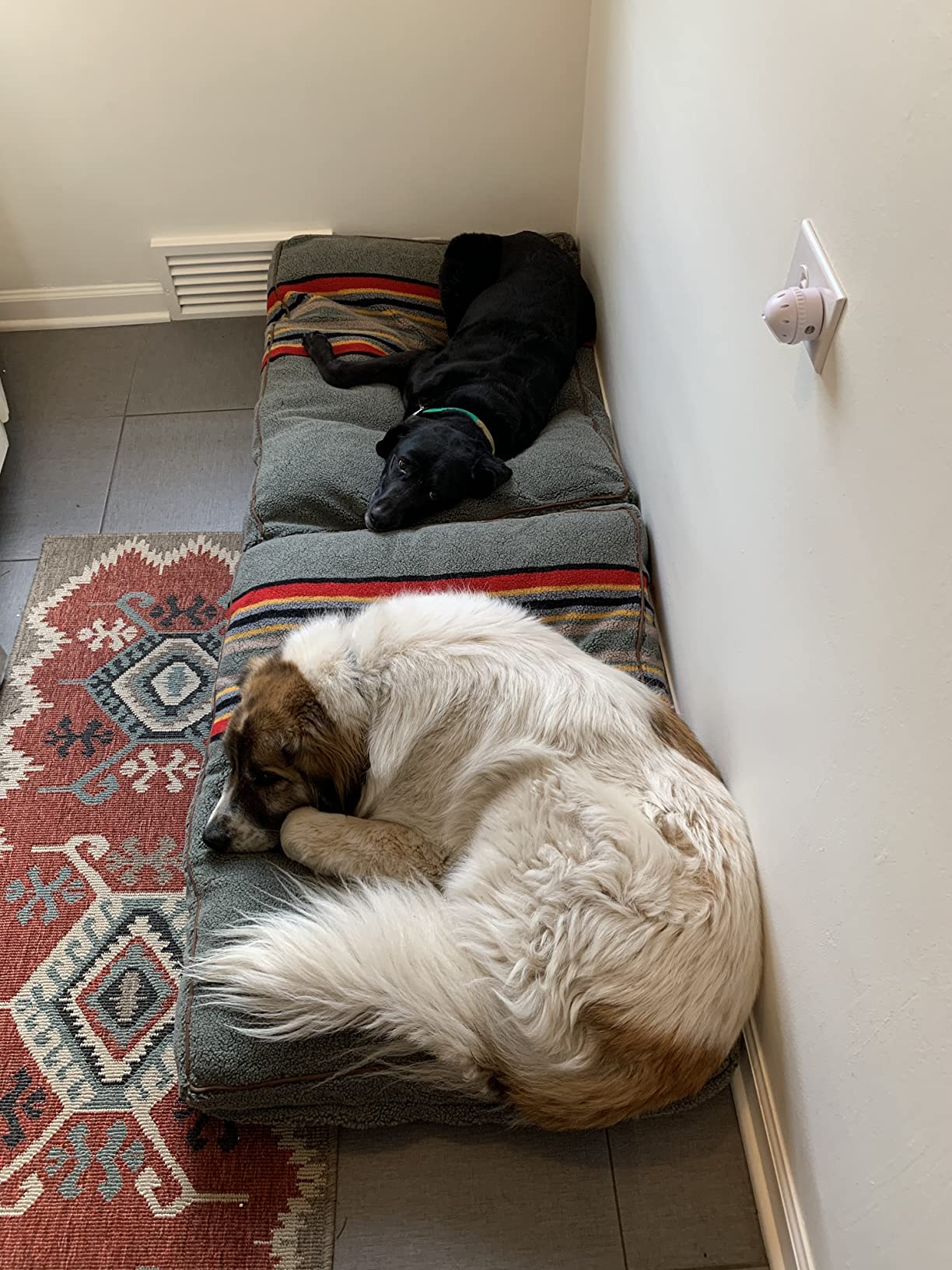 $24/mo - Finance Pendleton Vintage Camp Napper Bed | Buy Now, Pay Later