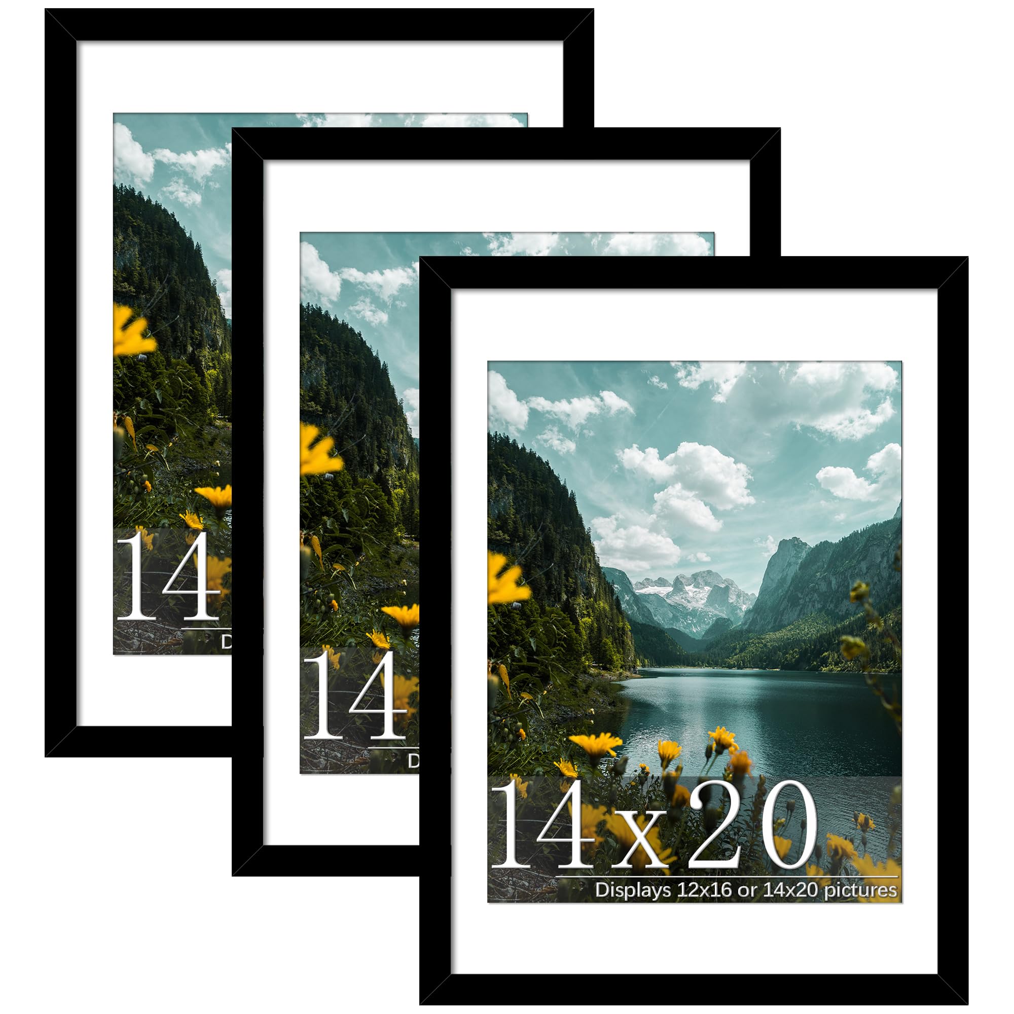 Amazon.com - Picrit 14x20 Picture Frame 3 Pack, Black Poster Frame ...