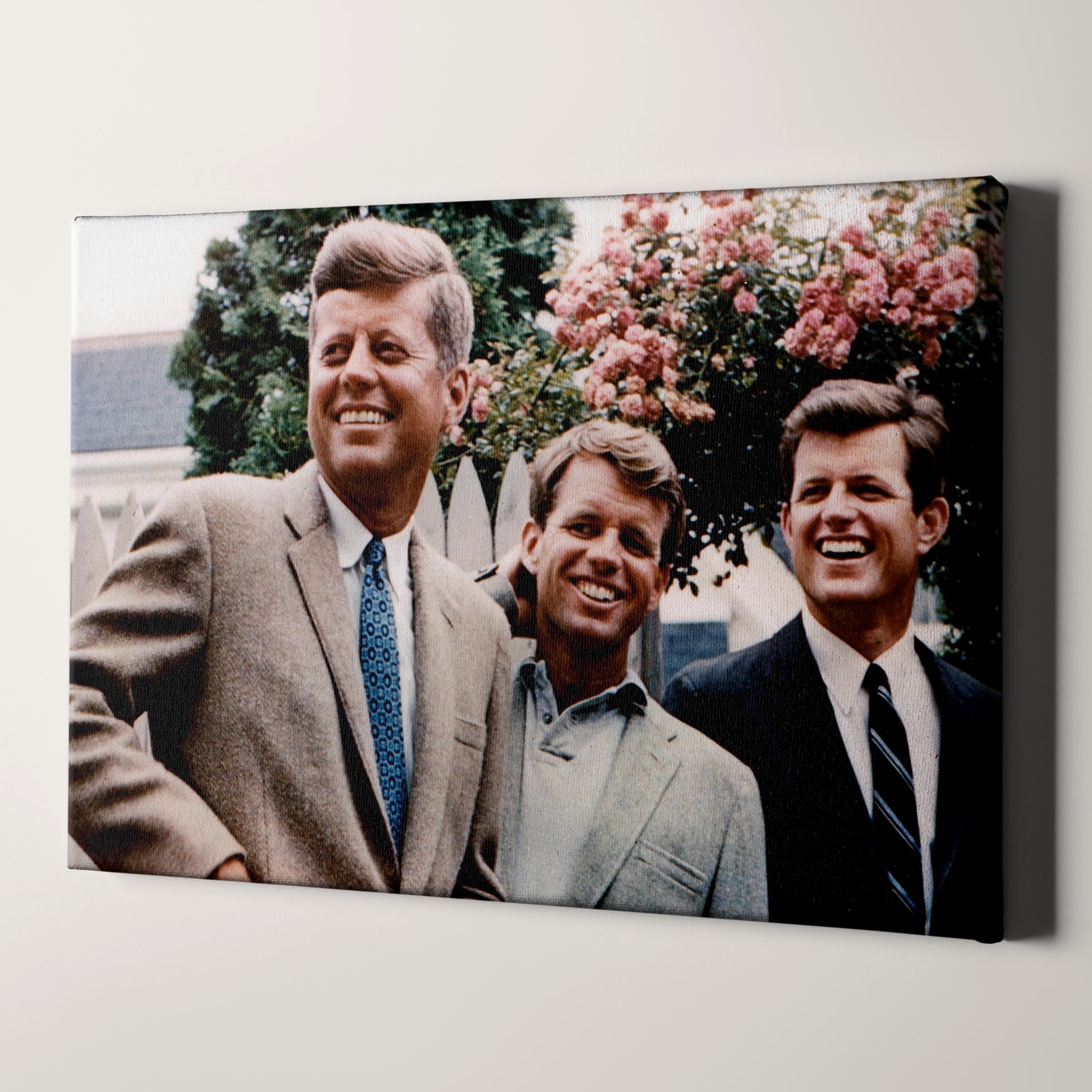 Kennedy Brothers Poster Brothers Robert Kennedy, Edward Ted Kennedy,