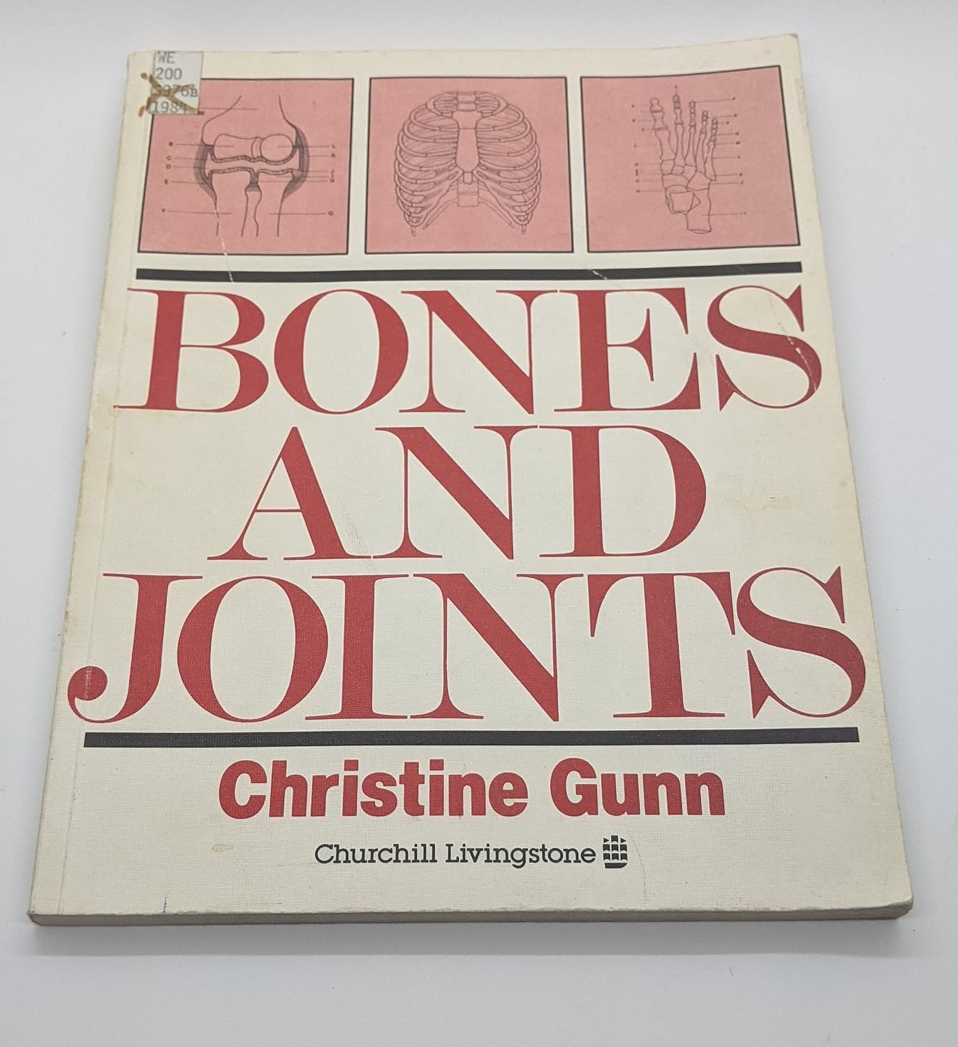 Bones and Joints: A Guide for Students: Amazon.co.uk: Gunn, Chris ...