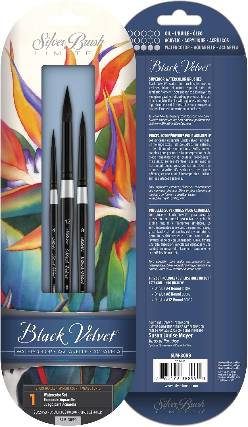 Amazon.com: Silver Brush Limited SLM 3099 Susan Louise Moyer Basic ...