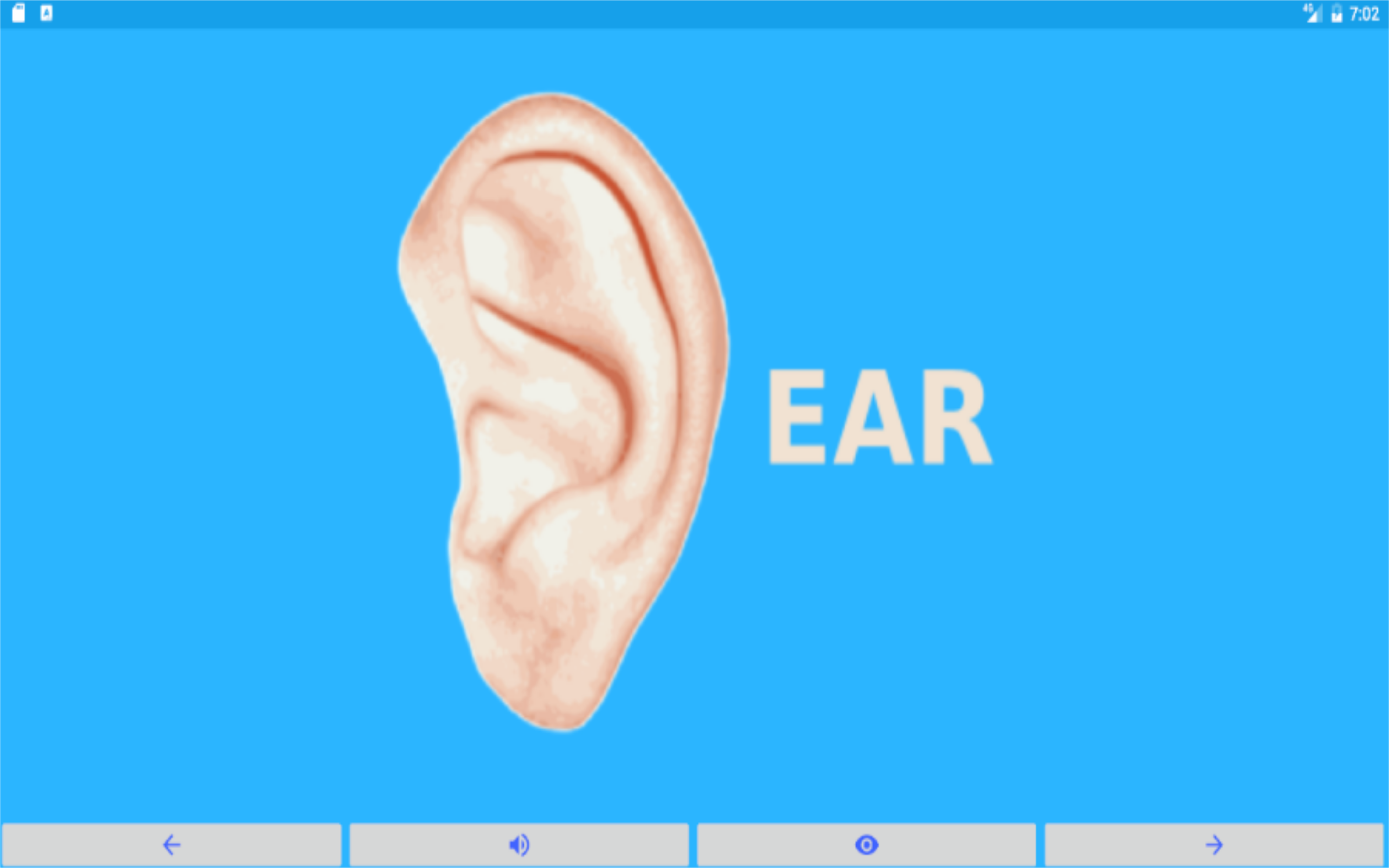 Body Parts For Toddlers Amazon Appstore For Android body-parts-for-toddlers-amazon-appstore-for-android