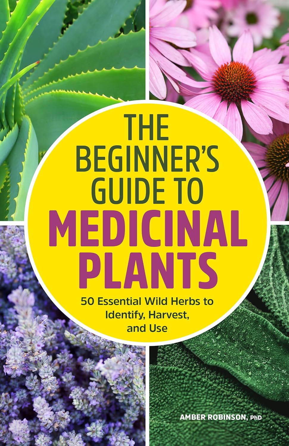 Buy The Beginner's Guide to Medicinal Plants: 50 Essential Wild Herbs ...