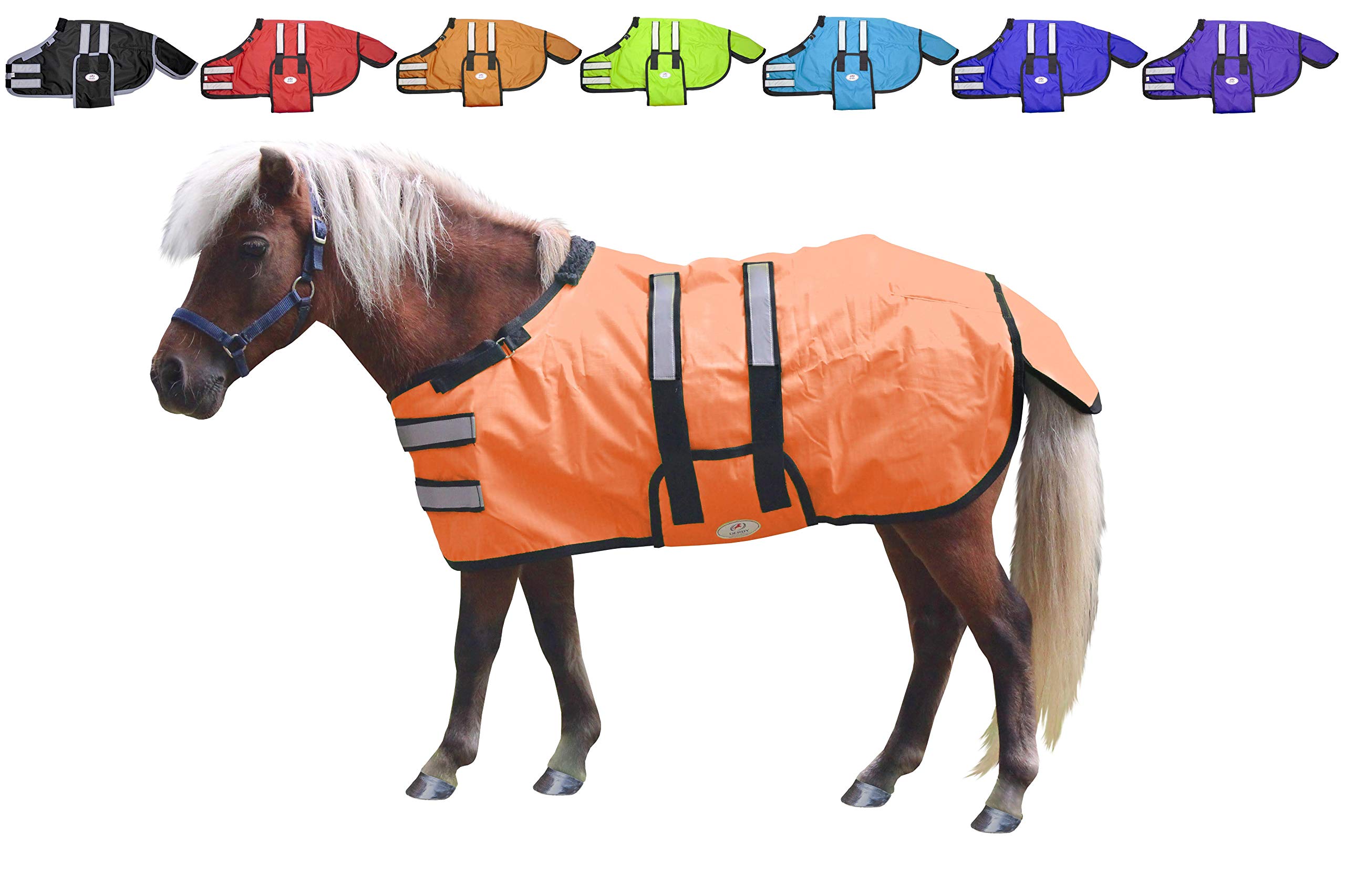 Mini Horse Products