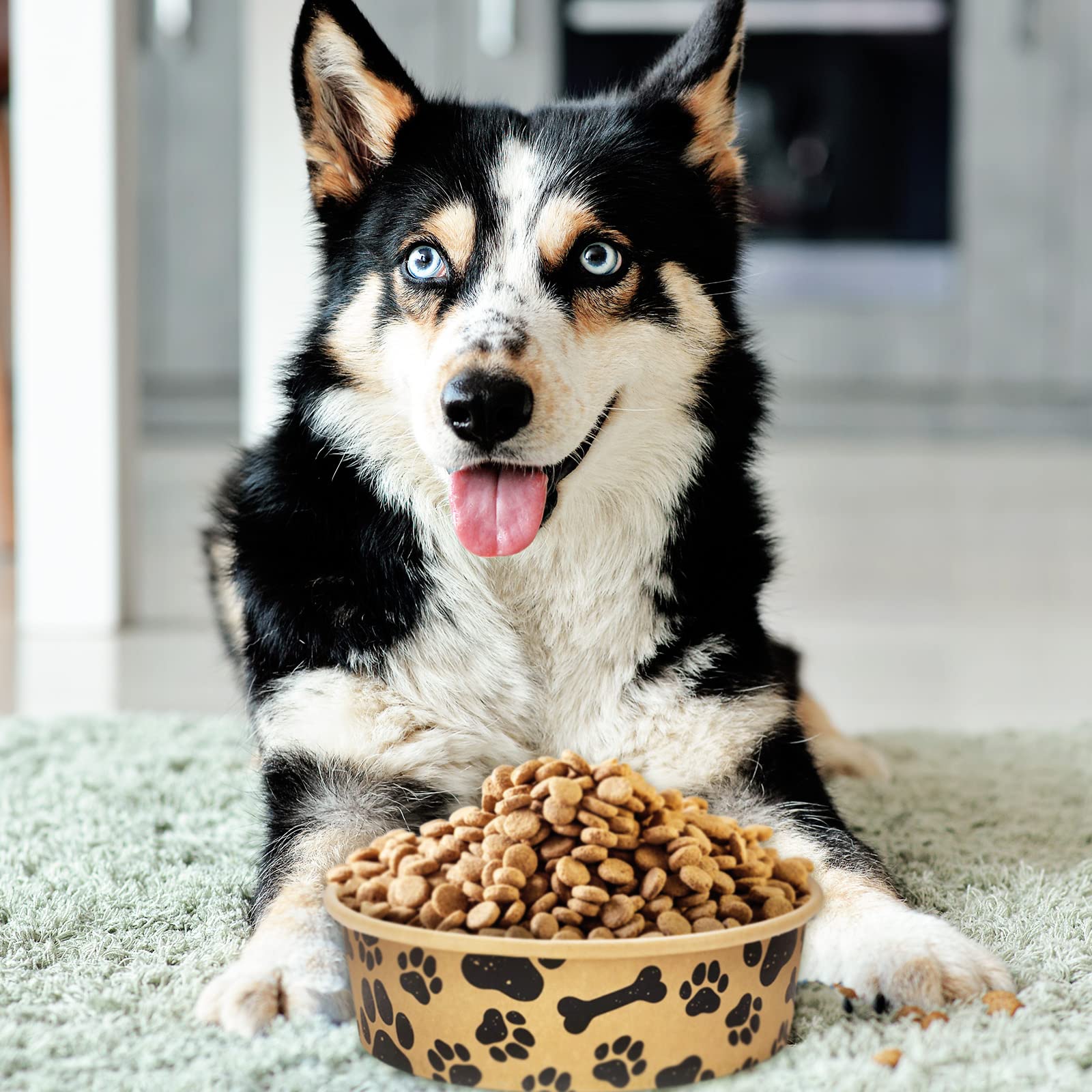 50-pack Paper Pet Food Bowls 16oz Capacity 50-Pack Disposable Dog Bowls ...