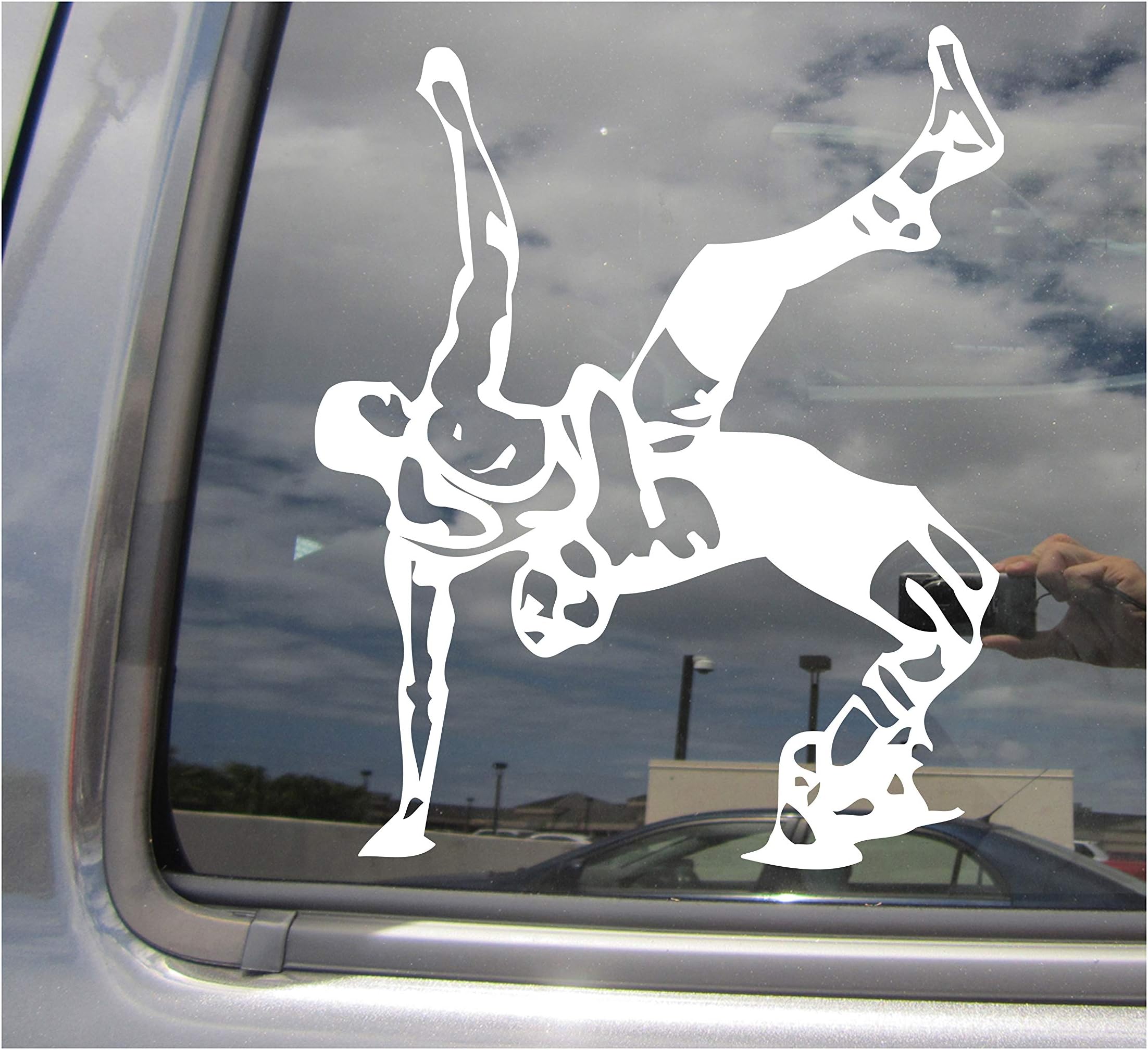 Amazon.com - USA Wrestling Sticker - Graphic for Auto, Wall, Laptop ...