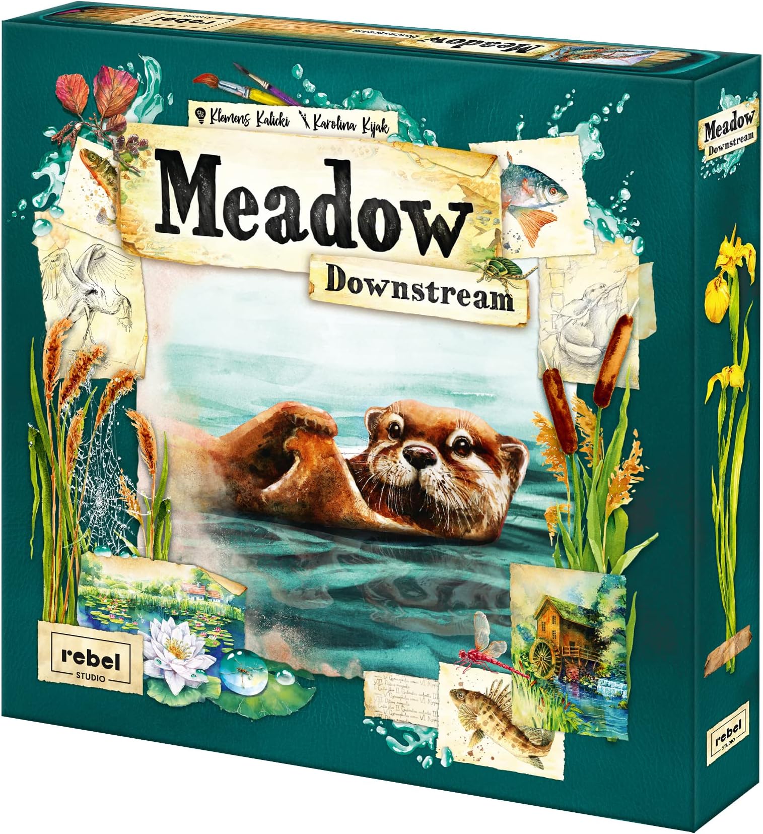 Amazon.com: Meadow Downstream Board Game Expansion - Strategy Game ...