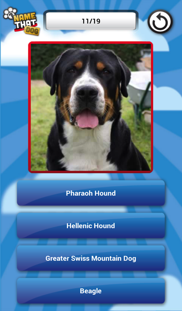 Name That Dog Free: The Unleashed Photo Game About Dogs - App on Amazon ...