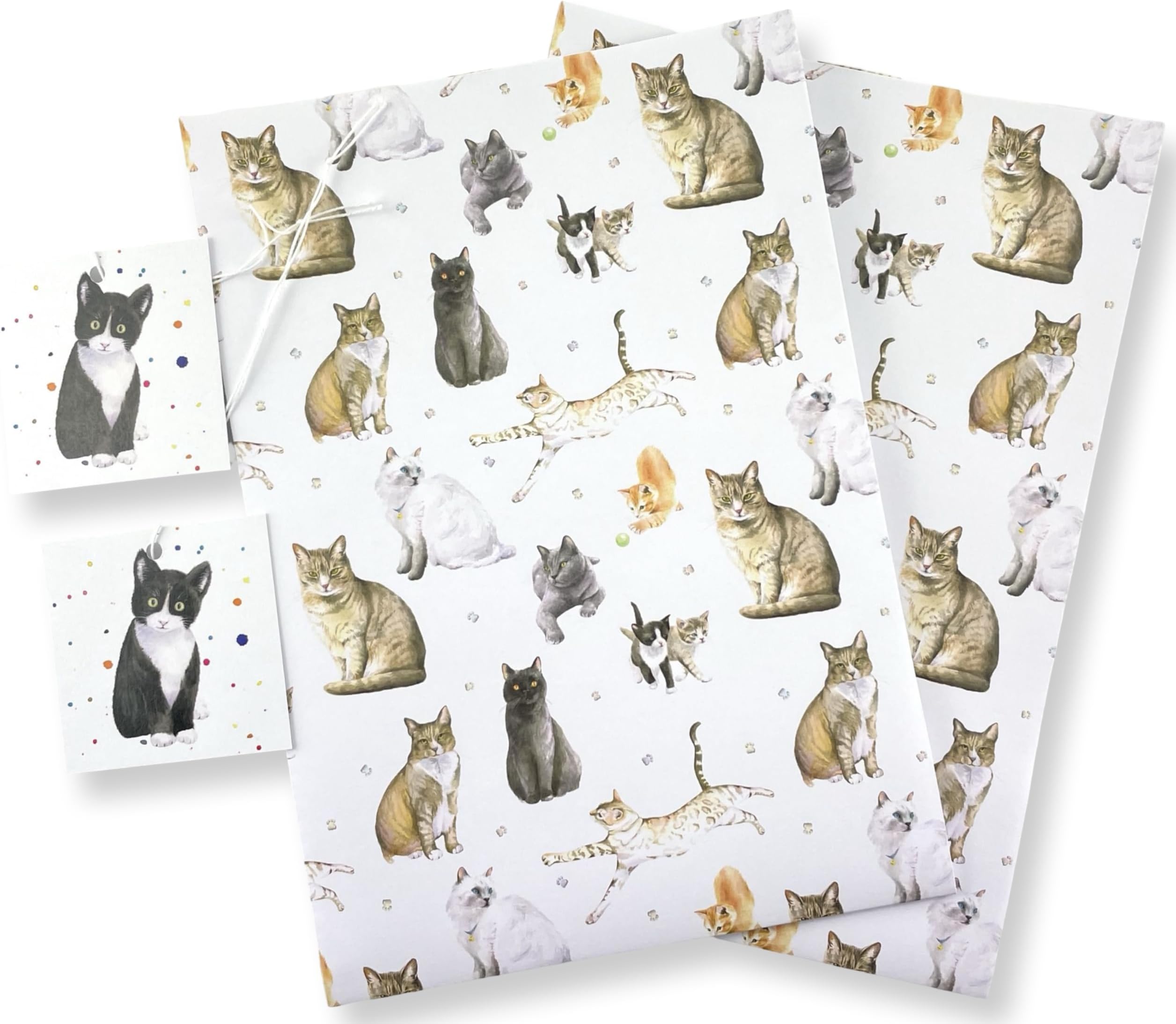 Glick Luxury Wrapping Paper, Cats Whiskers Roll of Wrap, Birthday Gift ...