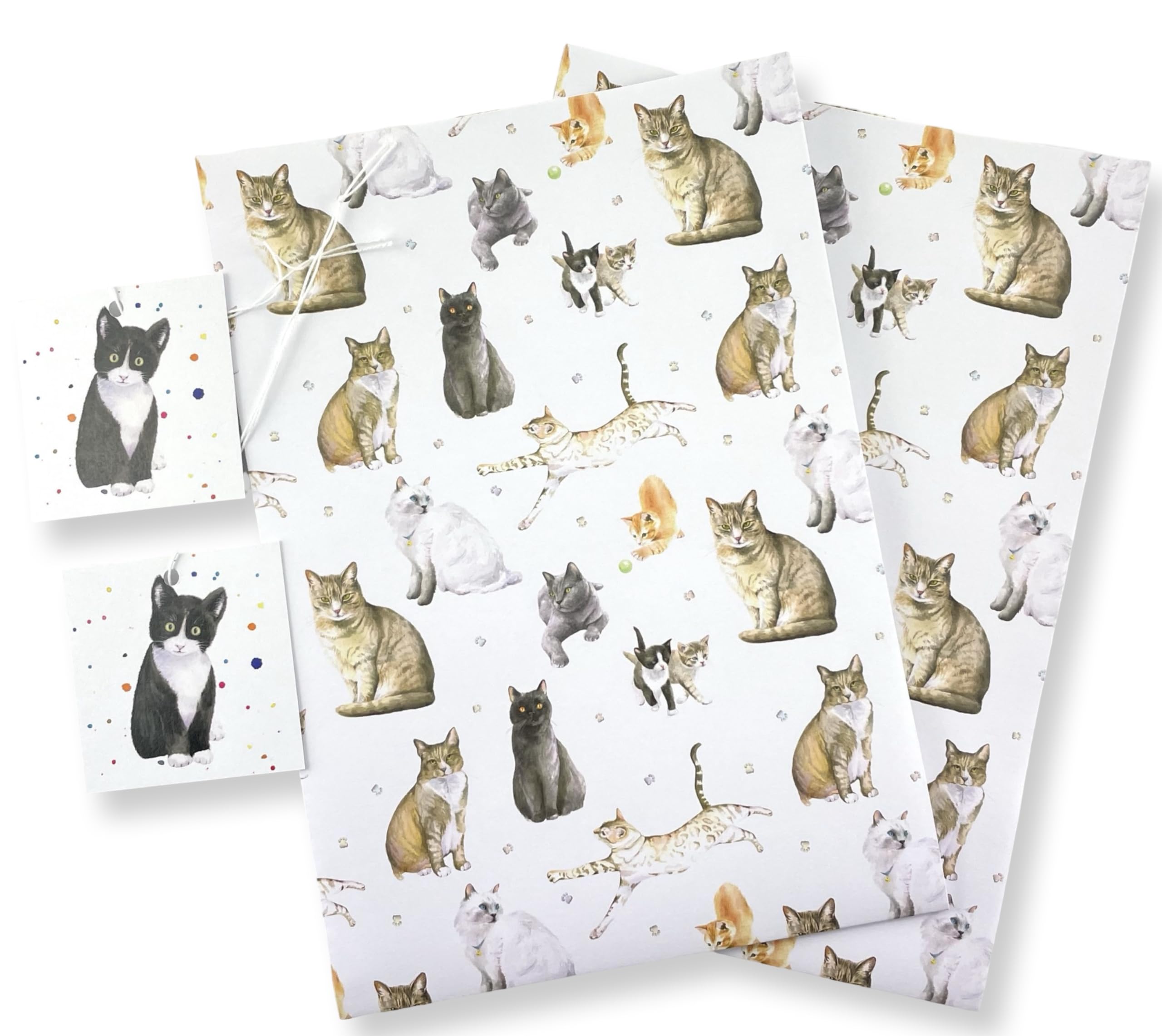 Cat Playing With Wrapping Paper Christmas Cats Gift Wrap | Eco