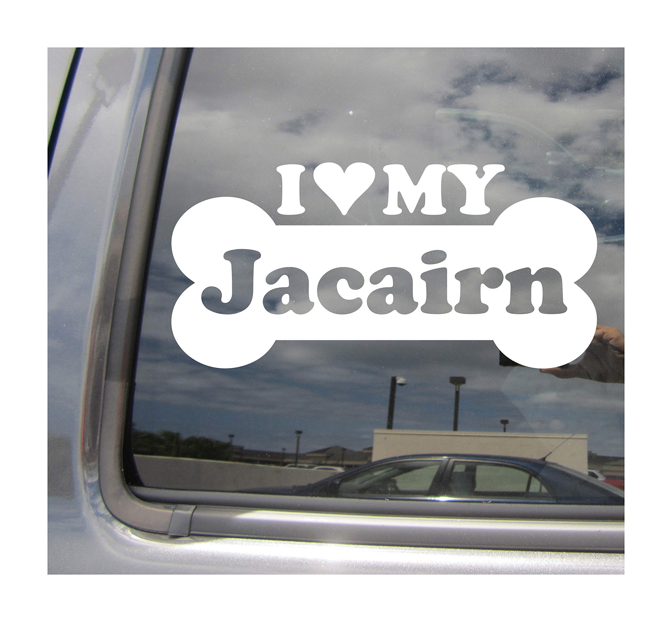 Jacairn Puppy