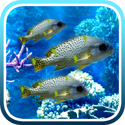Hidden Object - Under the Sea - App on Amazon Appstore