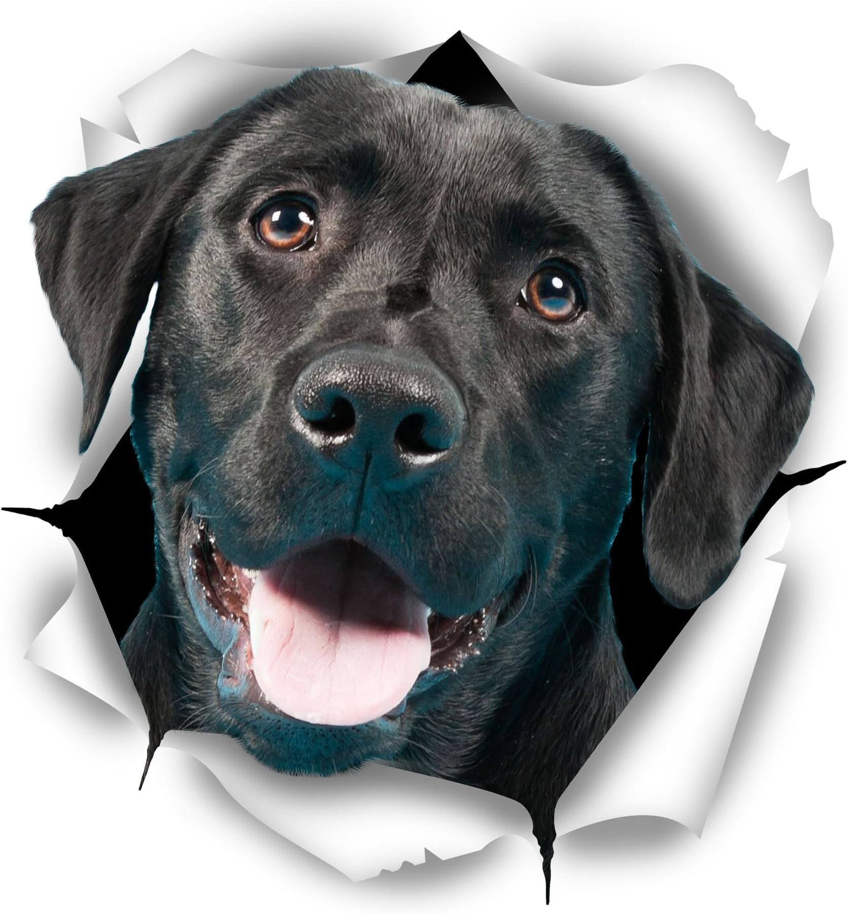 Amazon.com: Black Lab On Board Sticker (Labrador Dog Adopt My Retriever ...