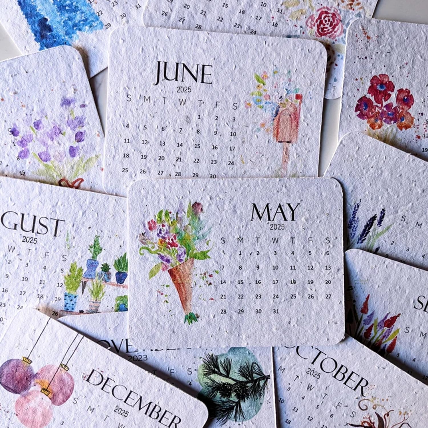 Snapklik.com : 2025 Plantable Seed Calendar Perfect Modern Greening ...