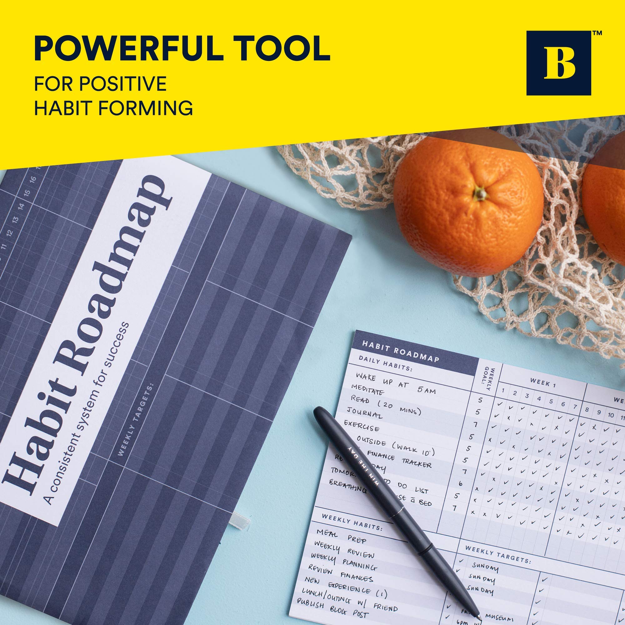 Buy Habit Roadmap by BestSelf - Visual Tool to Establish and Track Good ...