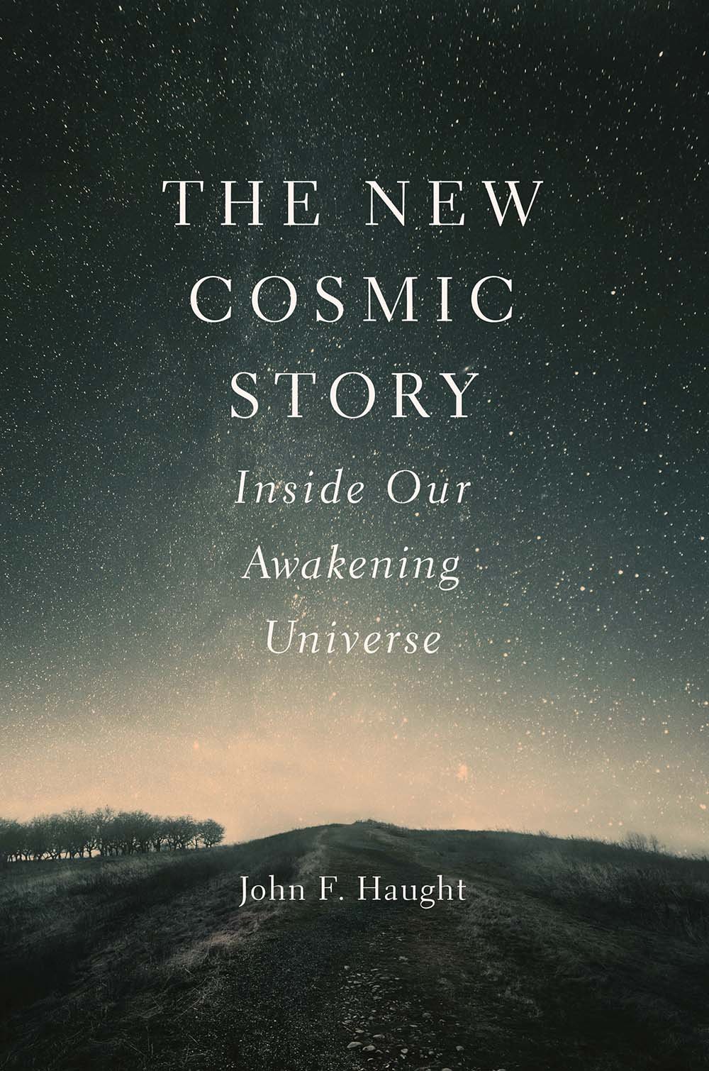 The New Cosmic Story: Inside Our Awakening Universe: Haught, John F ...